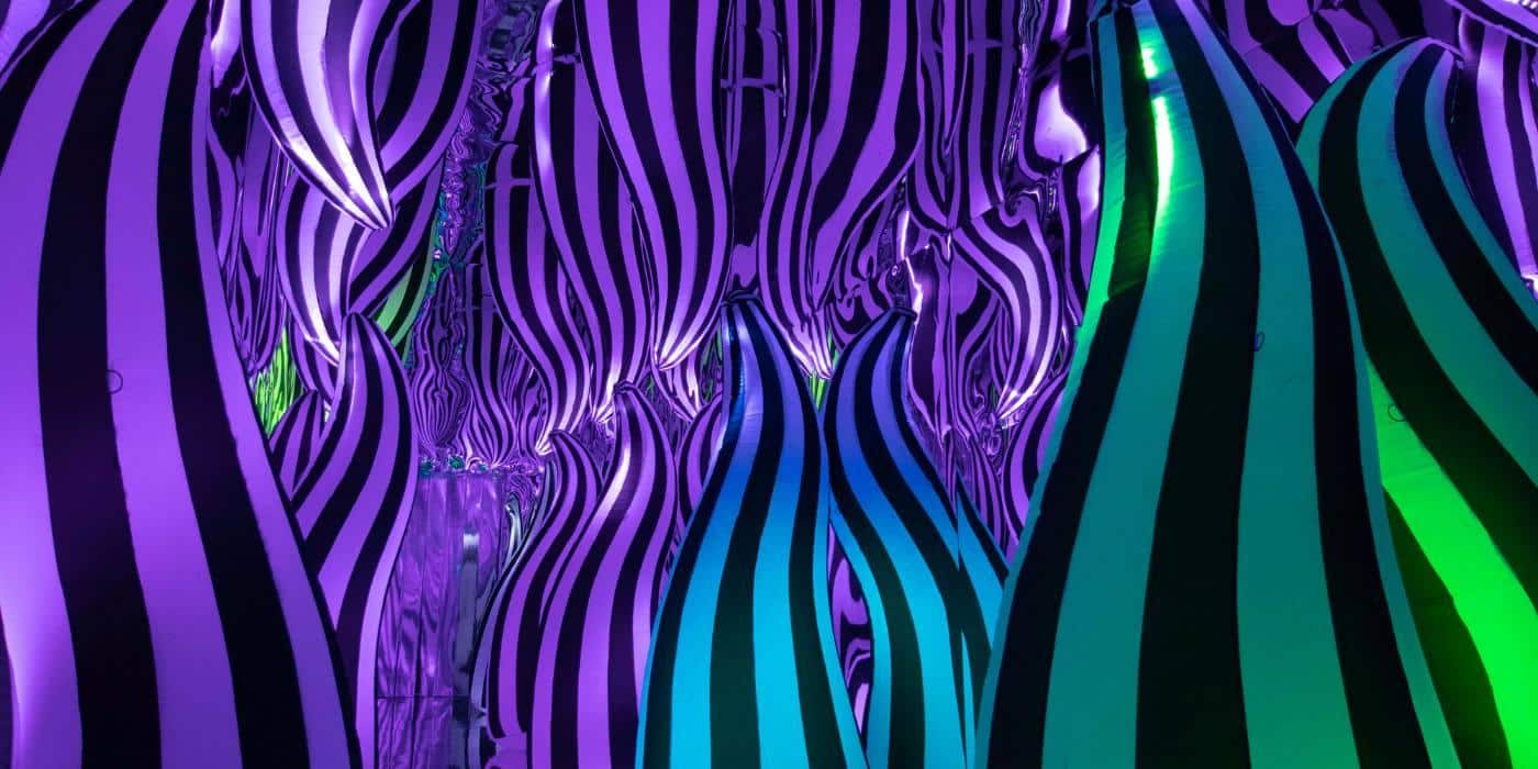 Blow Up Experience • DG Experience