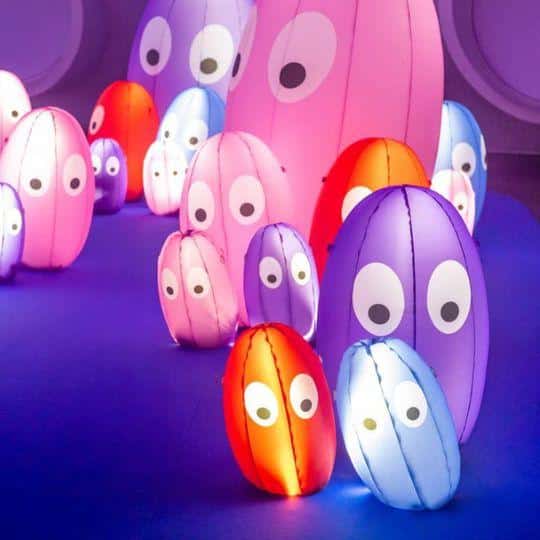 DG Experience • Live events, shows, tours & exhibitions